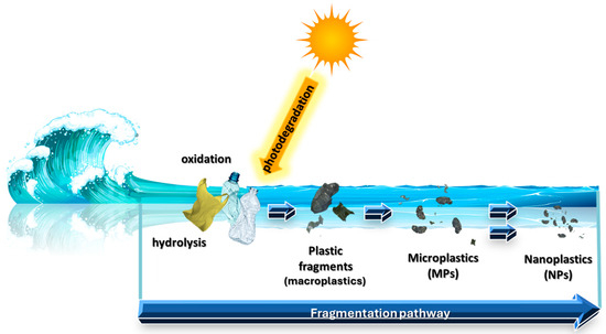 Insights into Plastic Degradation Processes in Marine Environment by X ...