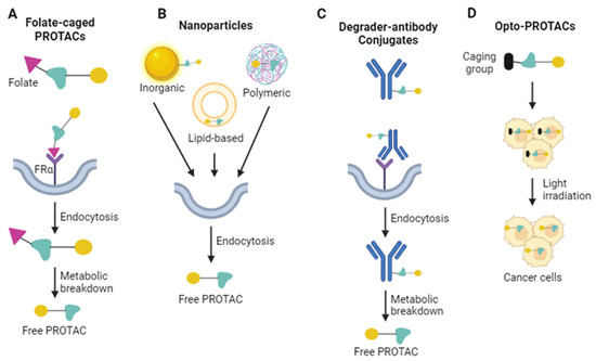 PROTACs in Ovarian Cancer: Current Advancements and Future Perspectives