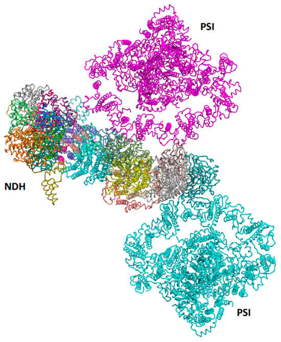 IJMS | Free Full-Text | Investigating the Balance between Structural ...