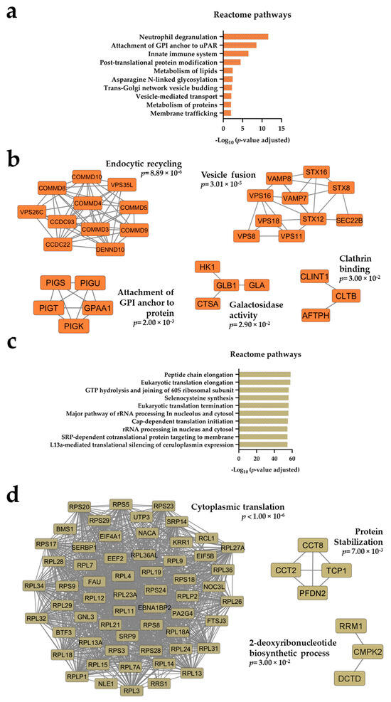 Monocytic Differentiation of Human Acute Myeloid Leukemia Cells: A Proteomic and ...