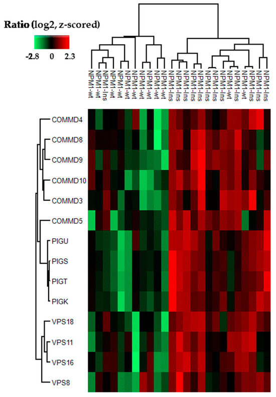 Monocytic Differentiation of Human Acute Myeloid Leukemia Cells: A ...