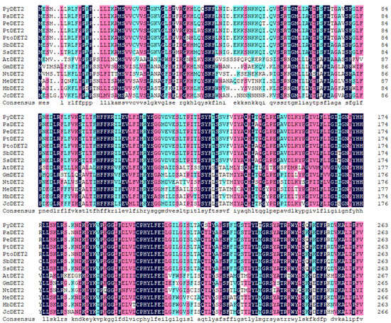DNA Methylation Analysis of Growth Differences between Upright and ...