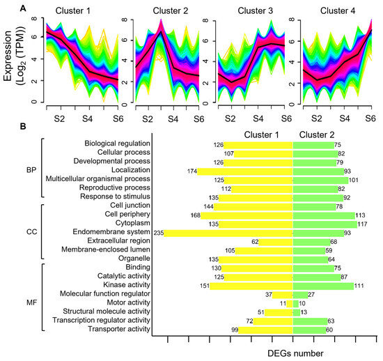 RNA-Seq Reveals That Multiple Pathways Are Involved in Tuber Expansion ...