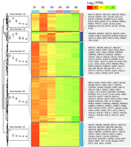 RNA-Seq Reveals That Multiple Pathways Are Involved in Tuber Expansion ...