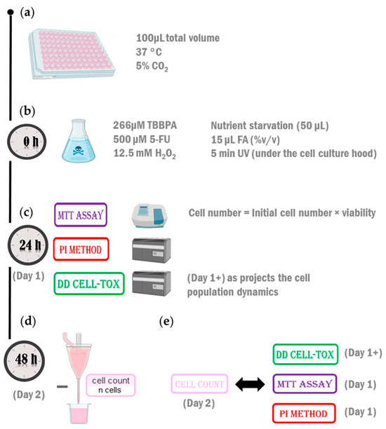 Finding a Direct Method for a Dynamic Process: The DD (Direct and Dynamic) Cell-Tox Method
