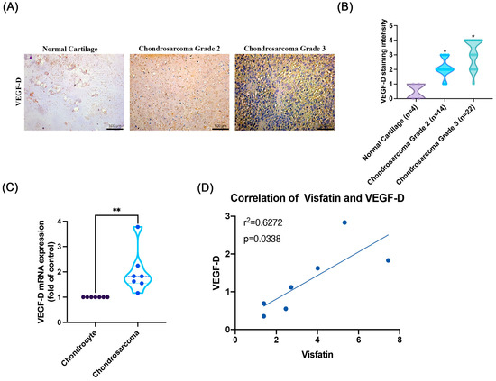 Visfatin Facilitates VEGF-D-Induced Lymphangiogenesis through ...