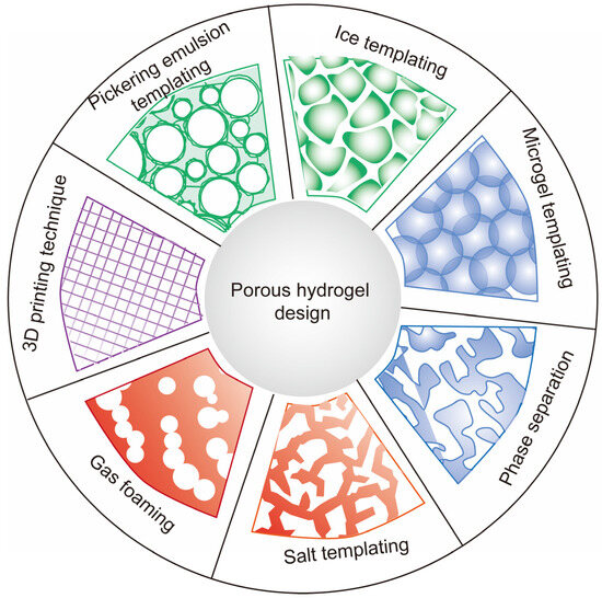 Porous Hydrogels for Immunomodulatory Applications