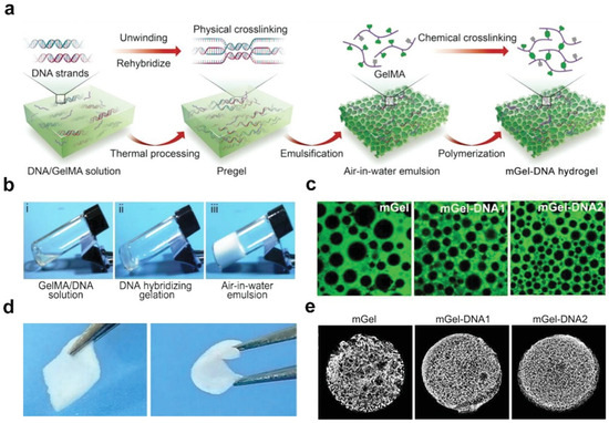 Porous Hydrogels for Immunomodulatory Applications