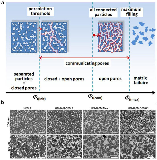 Porous Hydrogels for Immunomodulatory Applications