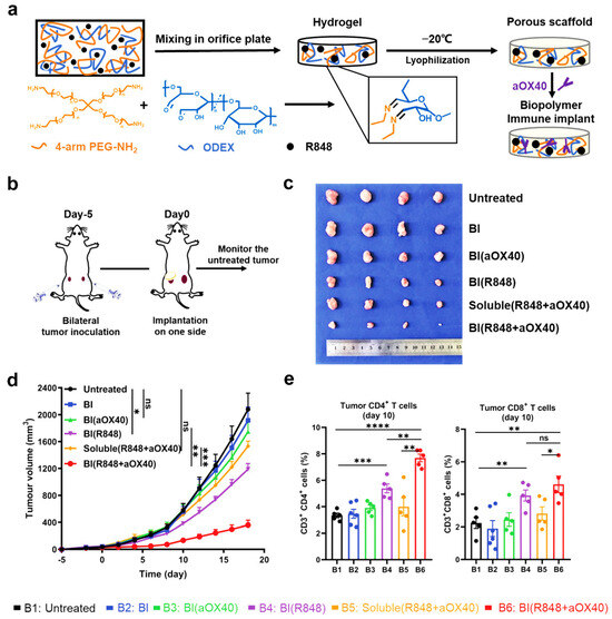 Porous Hydrogels for Immunomodulatory Applications