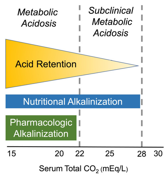 Metabolic Acidosis in CKD: Pathogenesis, Adverse Effects, and Treatment ...