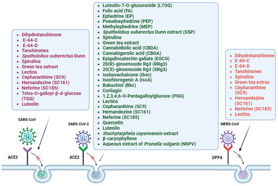 Pseudovirus-Based Systems for Screening Natural Antiviral Agents: A ...