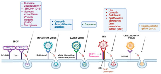 Pseudovirus-Based Systems for Screening Natural Antiviral Agents: A ...