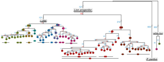 From Caves to the Savannah, the Mitogenome History of Modern Lions ...