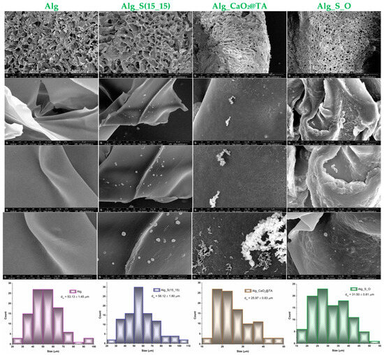 Infection-Free and Enhanced Wound Healing Potential of Alginate Gels ...