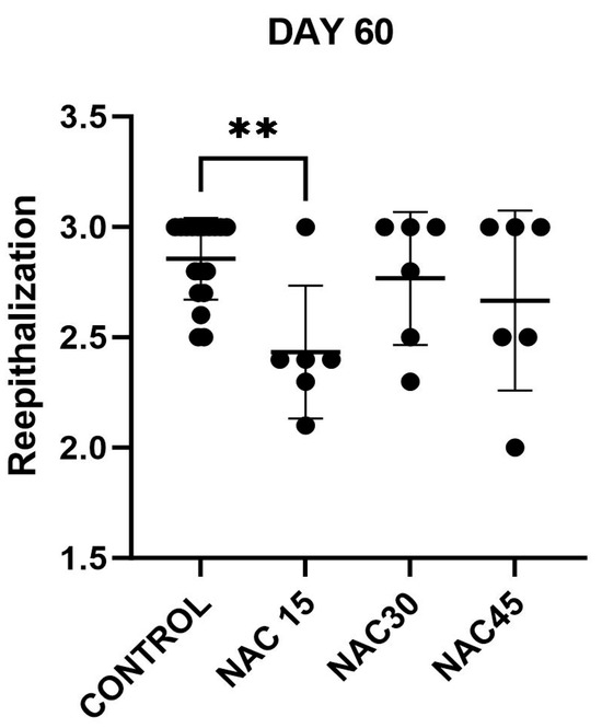 Pre-Incisional and Multiple Intradermal Injection of N-Acetylcysteine ...