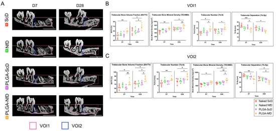 NF-κB Decoy Oligodeoxynucleotide-Loaded Poly Lactic-co-glycolic Acid ...