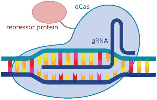 Systems for Targeted Silencing of Gene Expression and Their Application ...