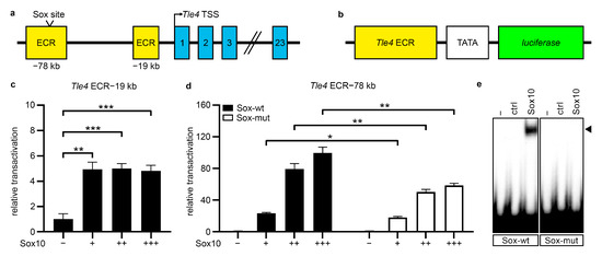 Sox10 Activity and the Timing of Schwann Cell Differentiation Are ...