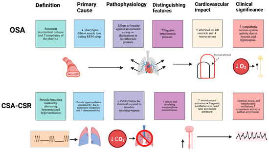 Sleep Apnea and Heart Failure—Current State-of-The-Art