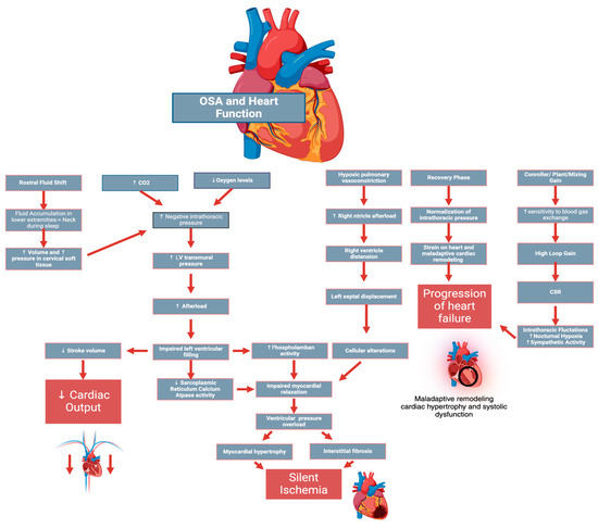 Sleep Apnea and Heart Failure—Current State-of-The-Art