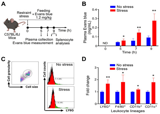 Restraint Stress-Induced Neutrophil Inflammation Contributes to ...