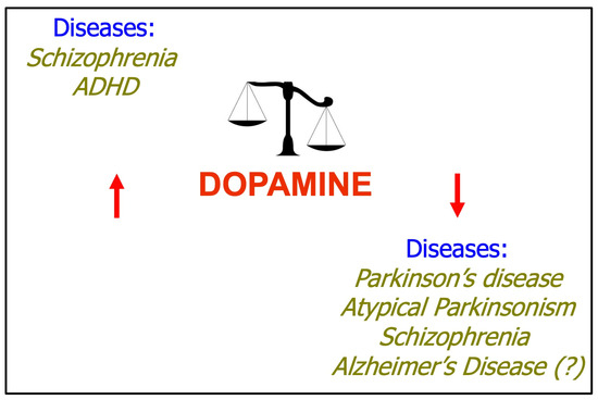 Dopamine Pharmacodynamics: New Insights