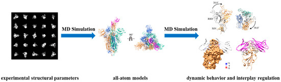Molecular Insights into Macromolecules Structure, Function, and Regulation