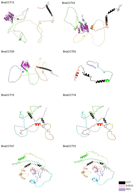IJMS | Free Full-Text | Genome-Wide Identification and Characterization ...