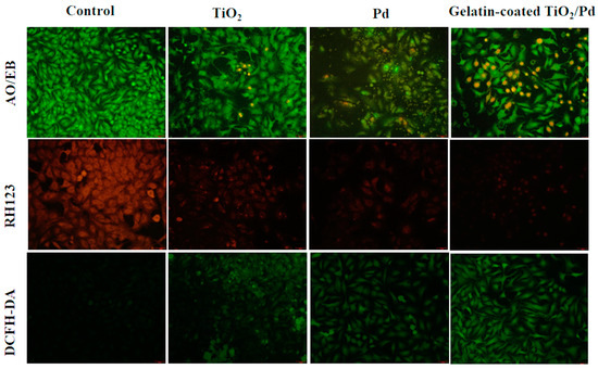 Gelatin-Coated TiO2/Pd Hybrid: A Potentially Useful Nanomaterial to ...
