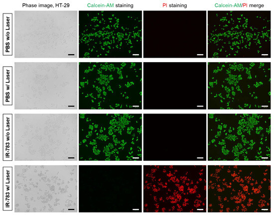 Structure-Inherent Tumor-Targeted IR-783 for Near-Infrared Fluorescence ...