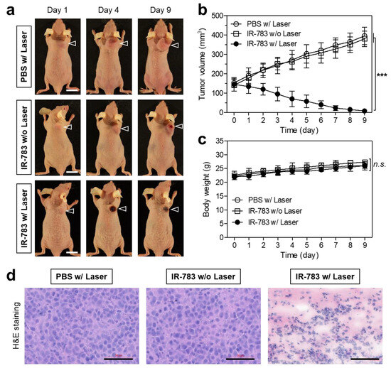 IJMS | Free Full-Text | Structure-Inherent Tumor-Targeted IR-783 for ...