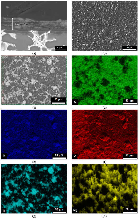 Corrosion Rate and Mechanism of Degradation of Chitosan/TiO2 Coatings ...