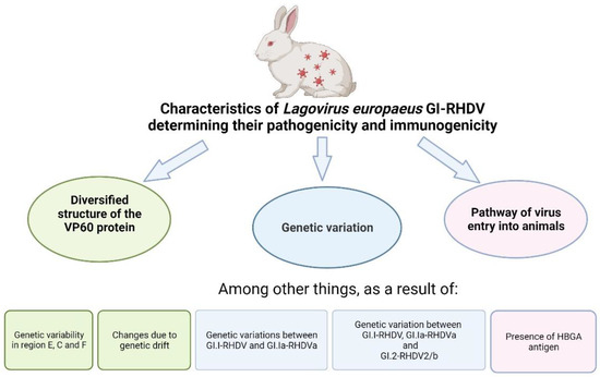 Characterisation of Lagovirus europaeus GI–RHDVs (Rabbit Haemorrhagic Disease Viruses) in Terms ...