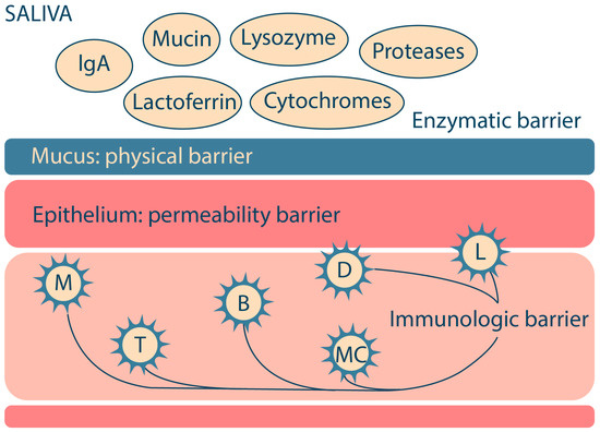 Biopolymer Drug Delivery Systems for Oromucosal Application: Recent ...