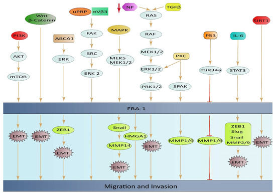 FOSL1’s Oncogene Roles in Glioma/Glioma Stem Cells and Tumorigenesis: A ...