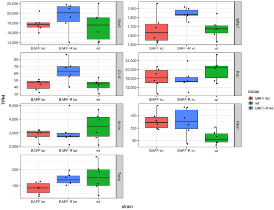 Transcriptome Analysis of BAFF/BAFF-R System in Murine Nephrotoxic ...
