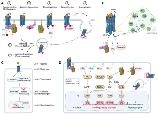 Exploiting Cell-Based Assays to Accelerate Drug Development for G ...