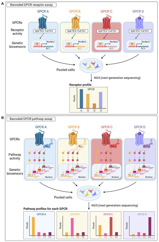 Exploiting Cell-Based Assays to Accelerate Drug Development for G ...