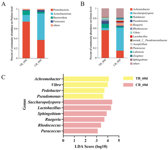 A Well-Established Gut Microbiota Enhances the Efficiency of Nutrient ...