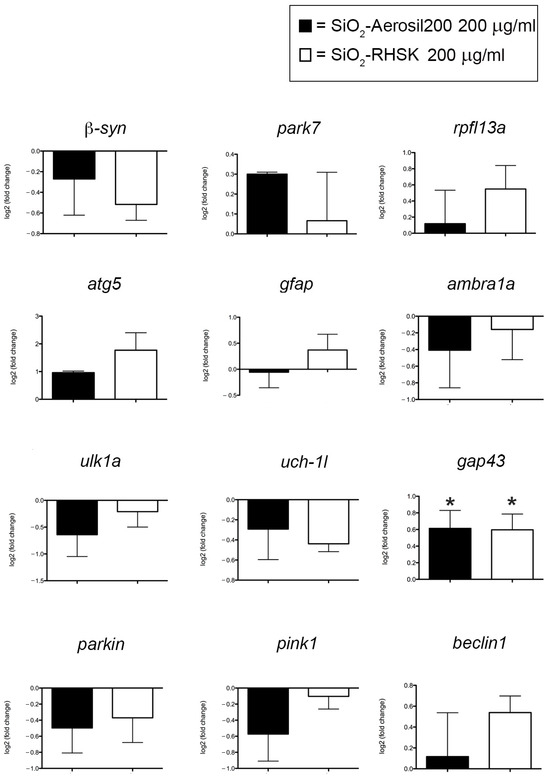 Biocompatibility Analysis of Bio-Based and Synthetic Silica ...