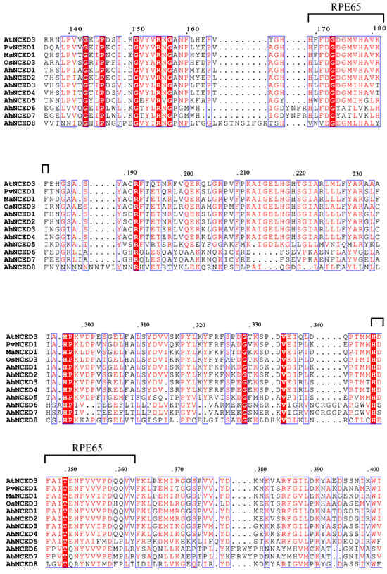 Identification and Expression Profile of NCED Genes in Arachis hypogaea ...