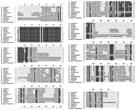A Testis-Specific DMRT1 (Double Sex and Mab-3-Related Transcription ...