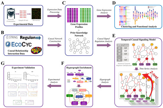 A Causal Regulation Modeling Algorithm for Temporal Events with ...