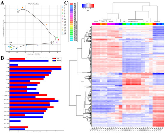 A Causal Regulation Modeling Algorithm for Temporal Events with Application to Escherichia coli ...