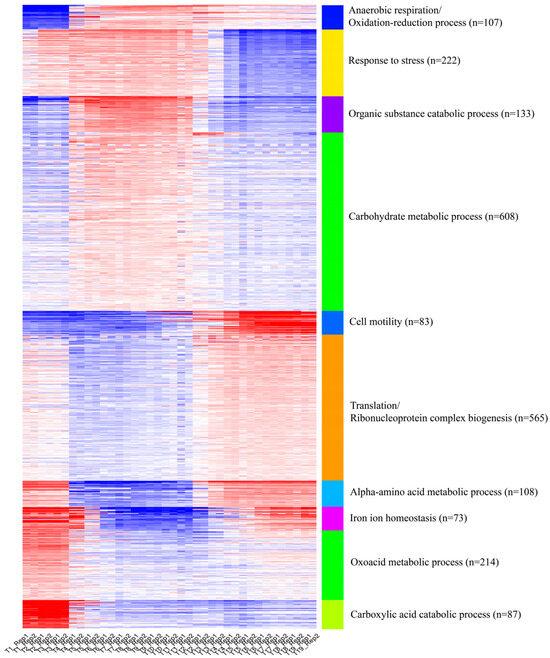A Causal Regulation Modeling Algorithm for Temporal Events with ...