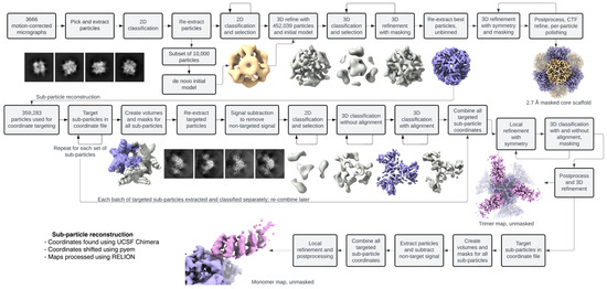 Mitigating the Blurring Effect of CryoEM Averaging on a Flexible and ...