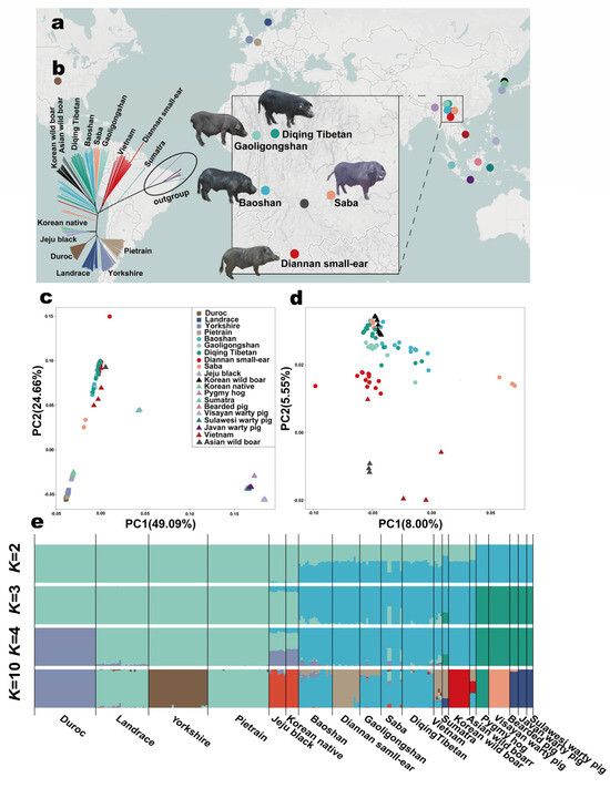 Integrating Multiple Database Resources to Elucidate the Gene Flow in ...