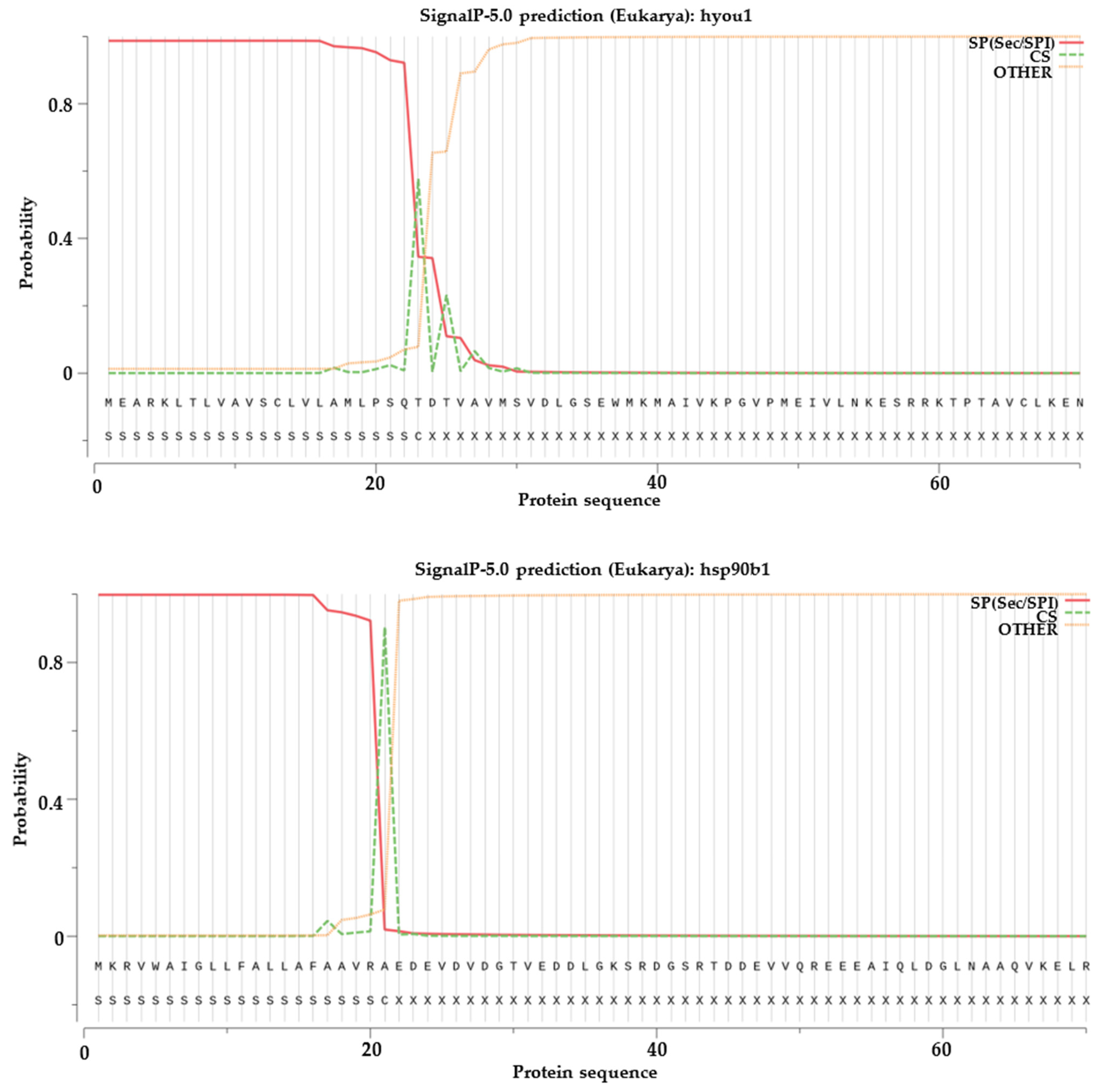 Ijms Free Full Text Genome Wide Identification Molecular