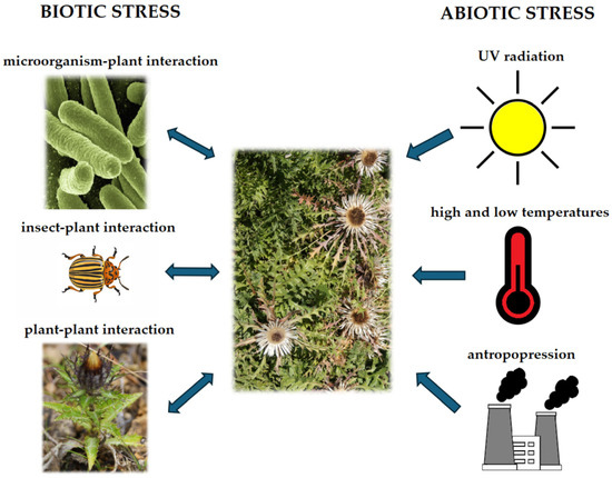 Impact of Biotic/Abiotic Stress Factors on Plant Specialized Metabolites